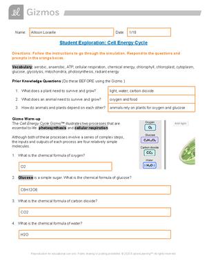 6.03 Lab - 6 Plant Structure and Function Lab Instructions: This lab is ...