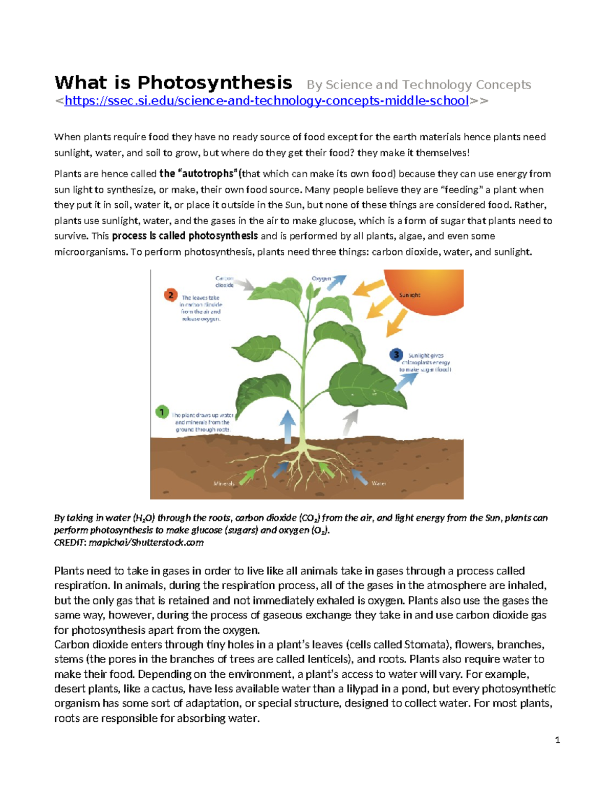 Photosynthesis: Understanding the Process and Its Importance - Studocu