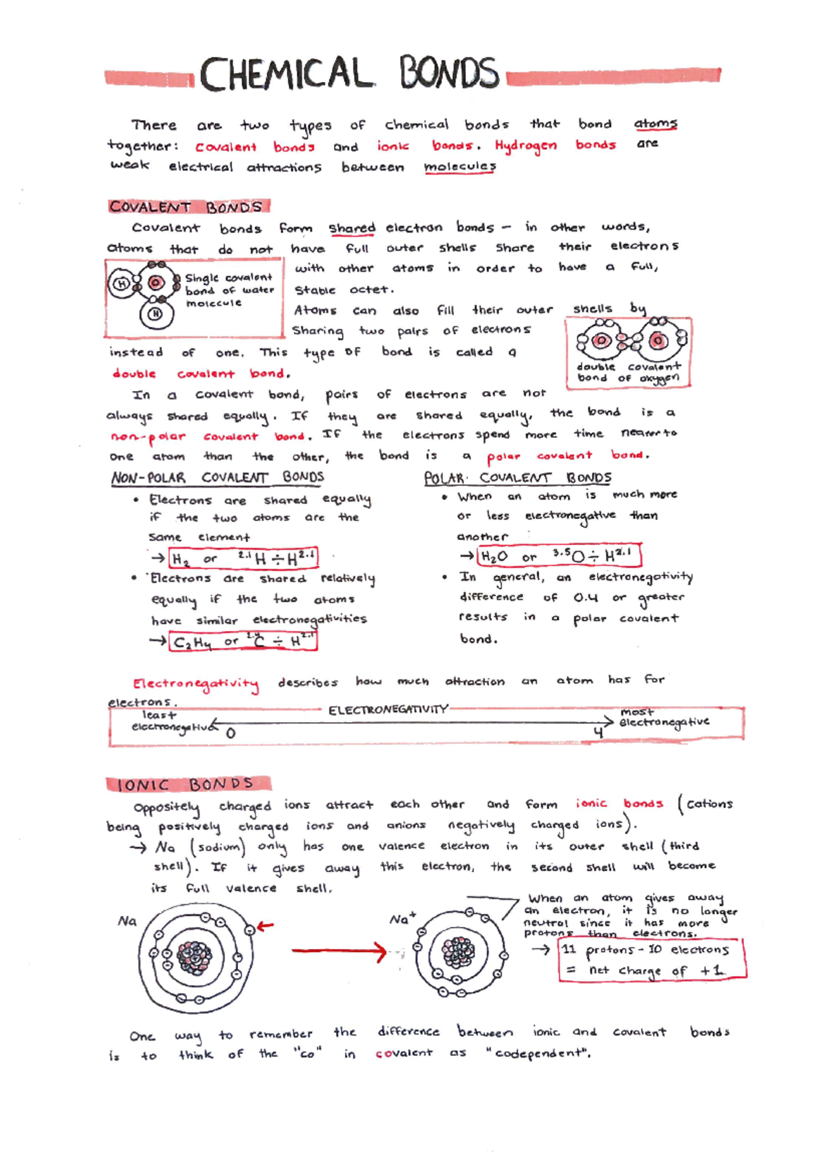 Biology 1111 - Summary of Chemical Bonds: Covalent and Ionic - Studocu