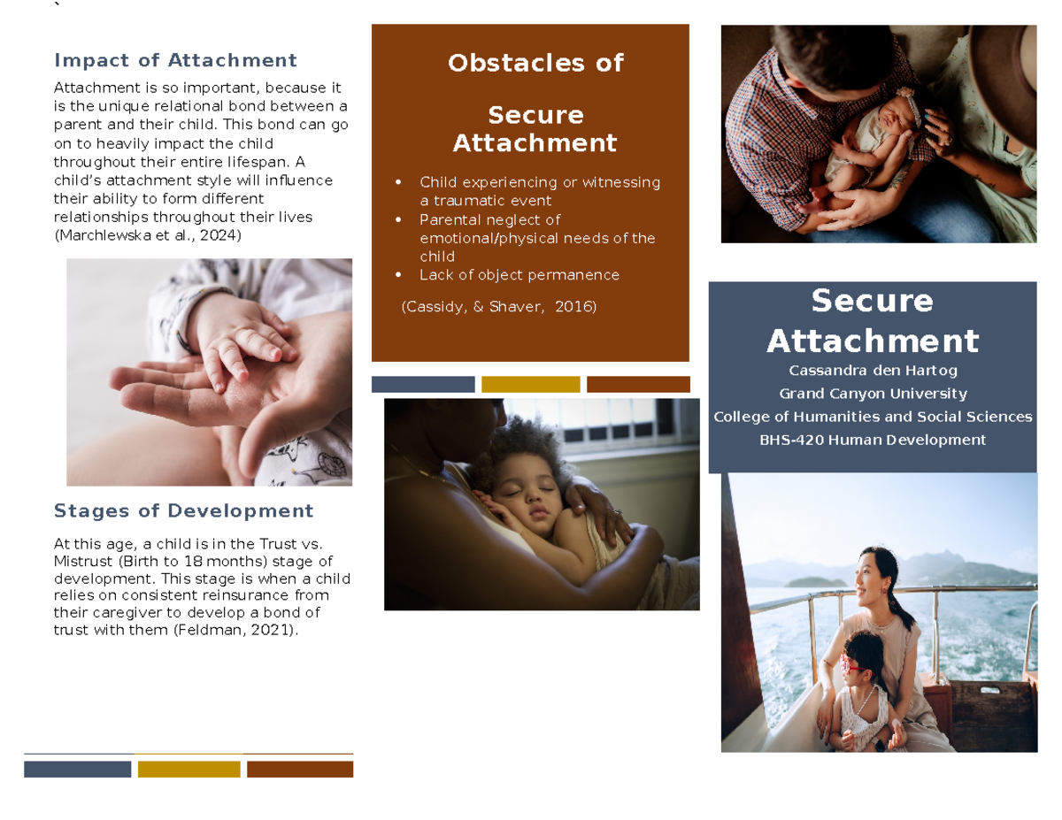 BHS-420 Week 2 - BHS-420 Week 2 - ` Impact of Attachment Attachment is ...