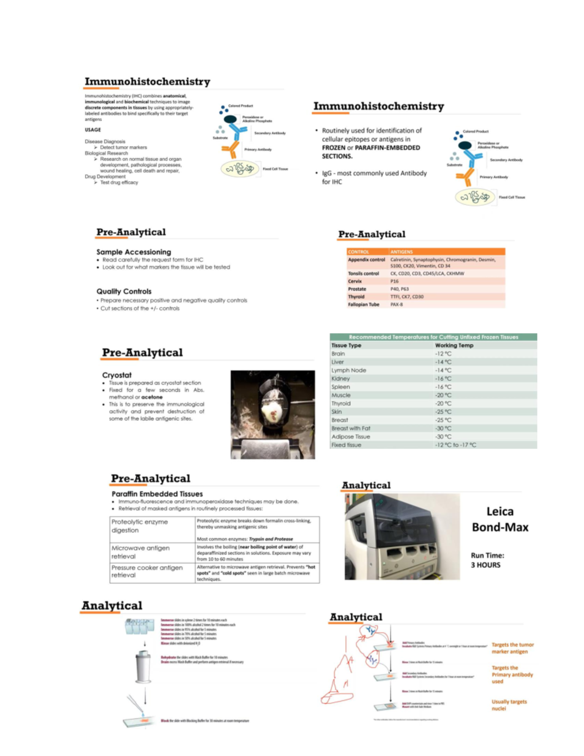IHC Techniques and Applications: A Comprehensive Guide to ...
