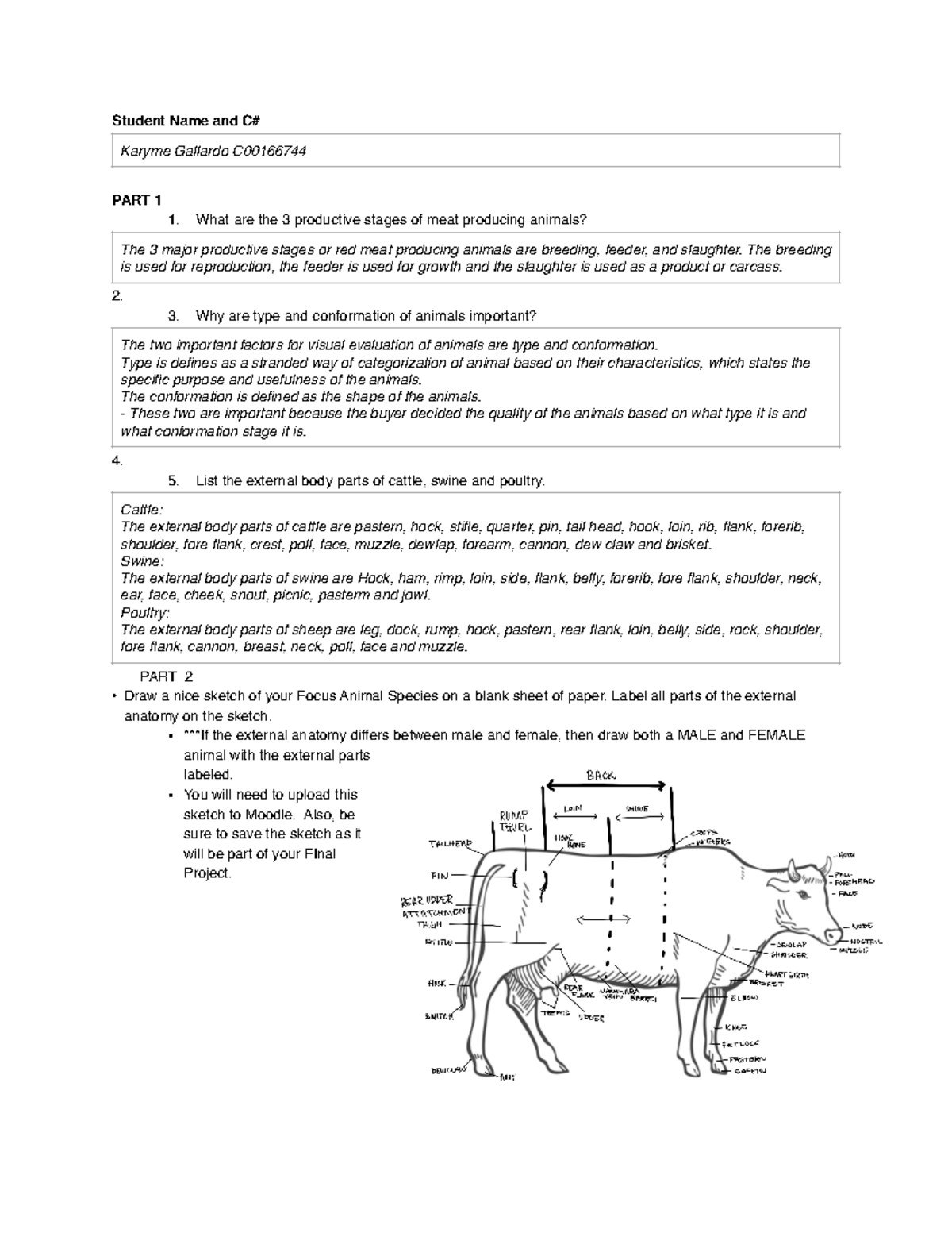 2.2 Chapter 9 Homework - External Anatomy of Livestock - Studocu