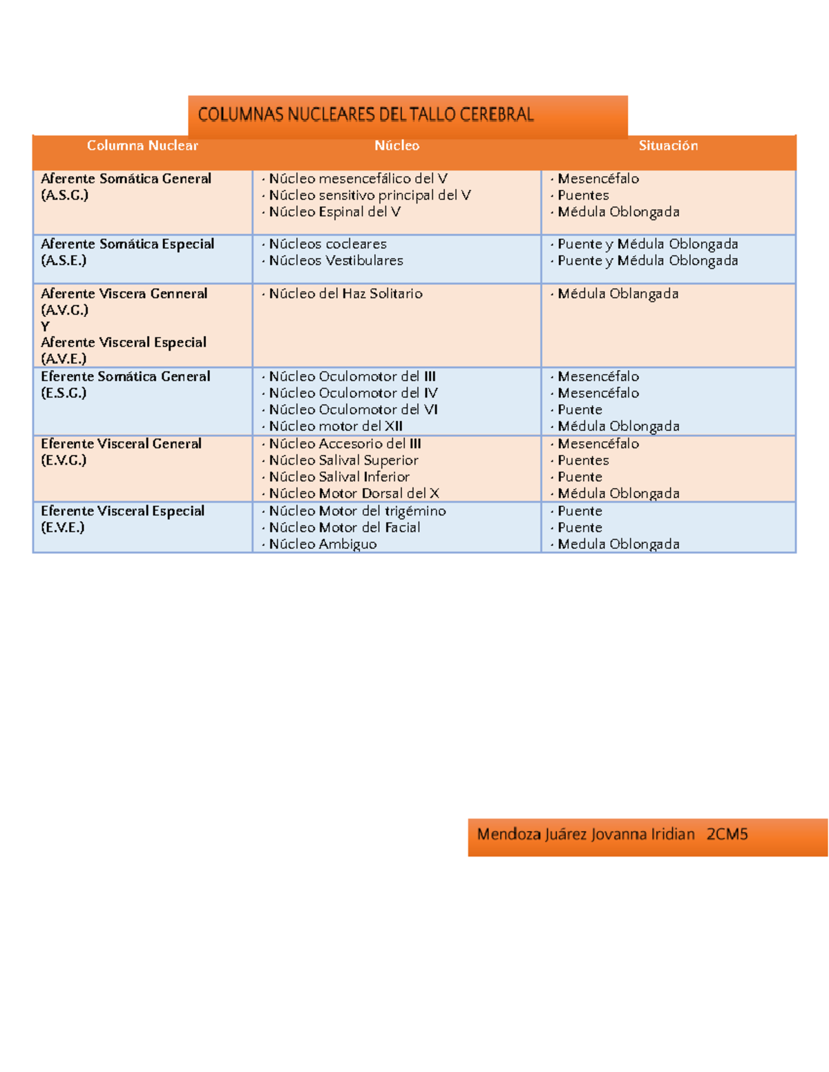 Columnas Nucleares YFascículos Aferentes Del Tallo Cerebral JIMJ ...