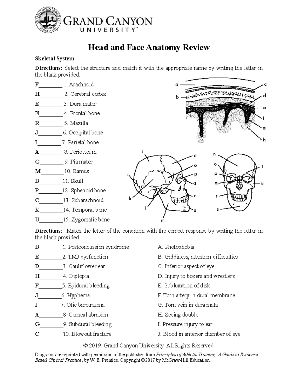 HEAD AND FACE Anatomy - homework - Head and Face Anatomy Review ...