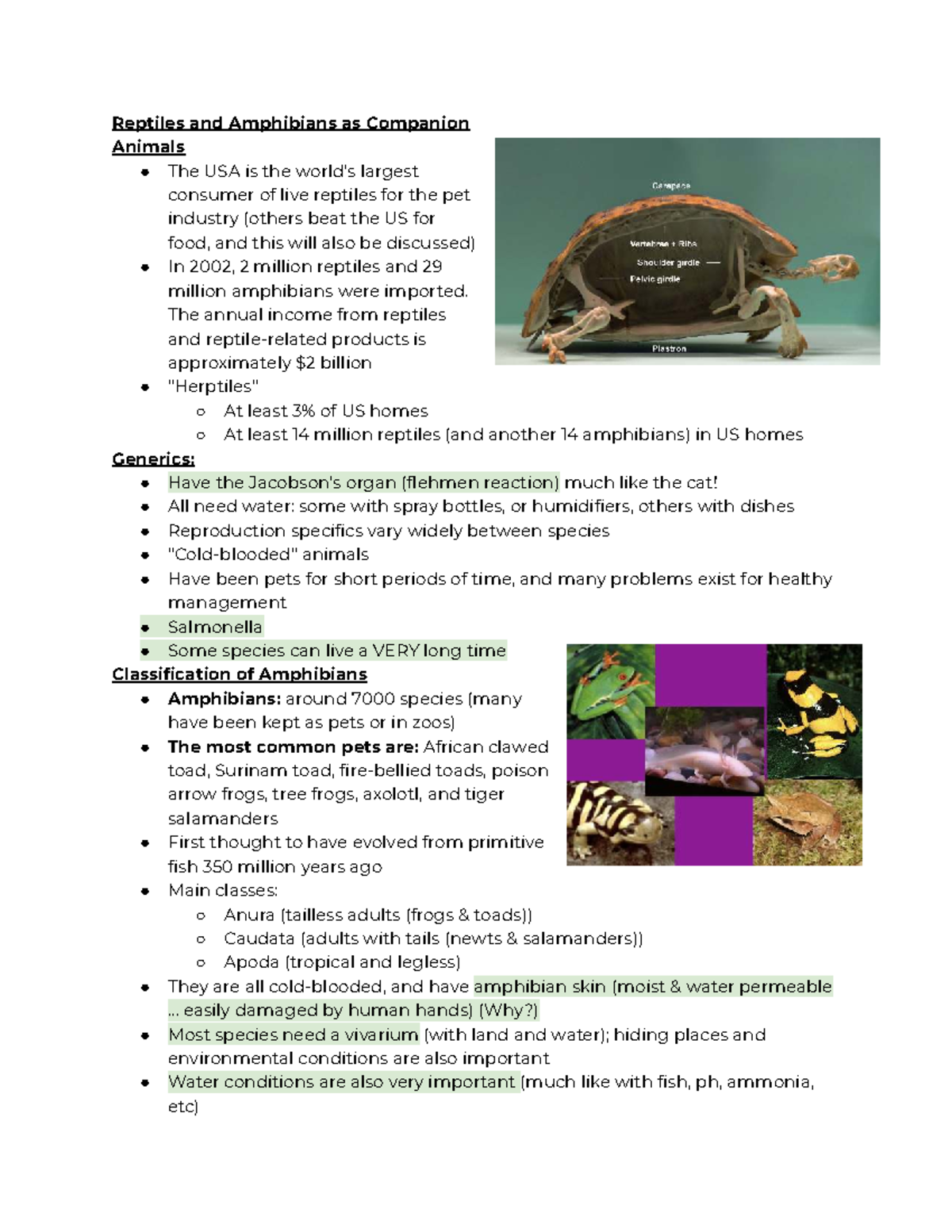ANS105 Lecture Notes: Understanding Reptiles & Amphibians as Pets - Studocu