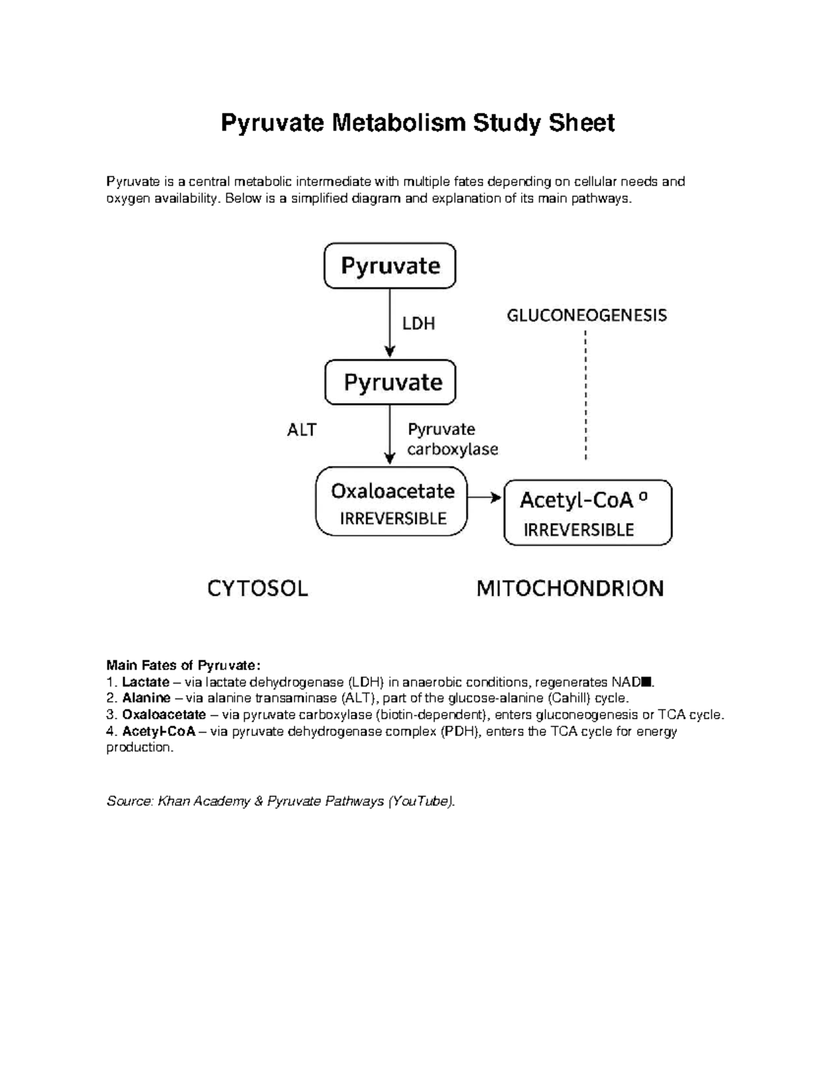 Pyruvate Metabolism Study Sheet - Pyruvate Metabolism Study Sheet ...