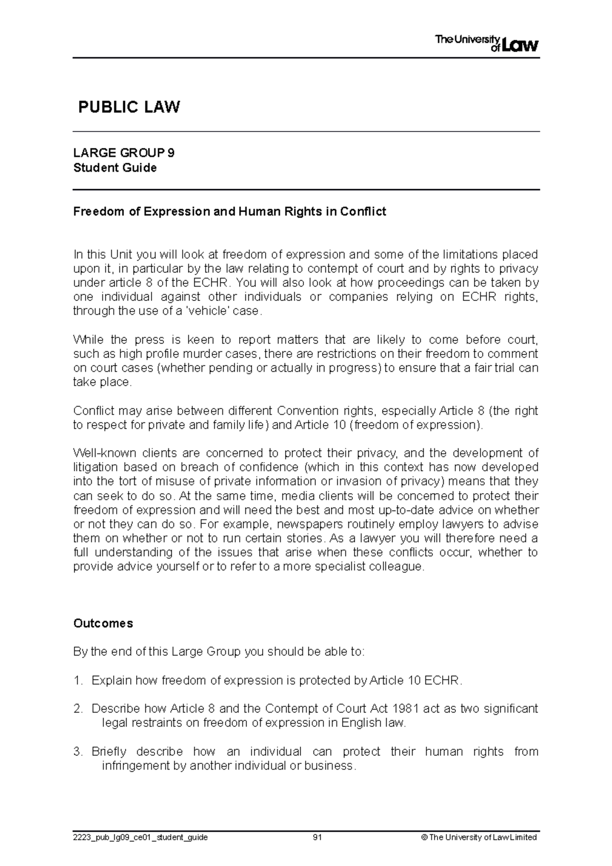 Unit 9 - Freedom of Expression & Human Rights Conflicts Notes - Studocu