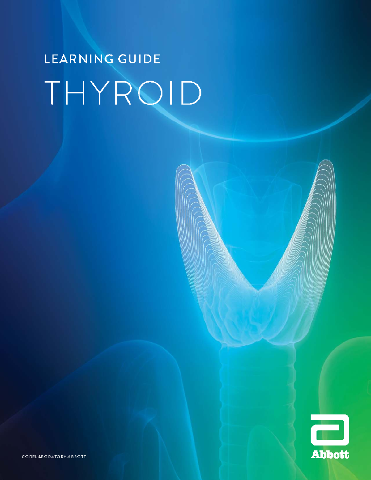 Thyroid Learning Guide: Understanding Endocrine Disorders and Tests ...