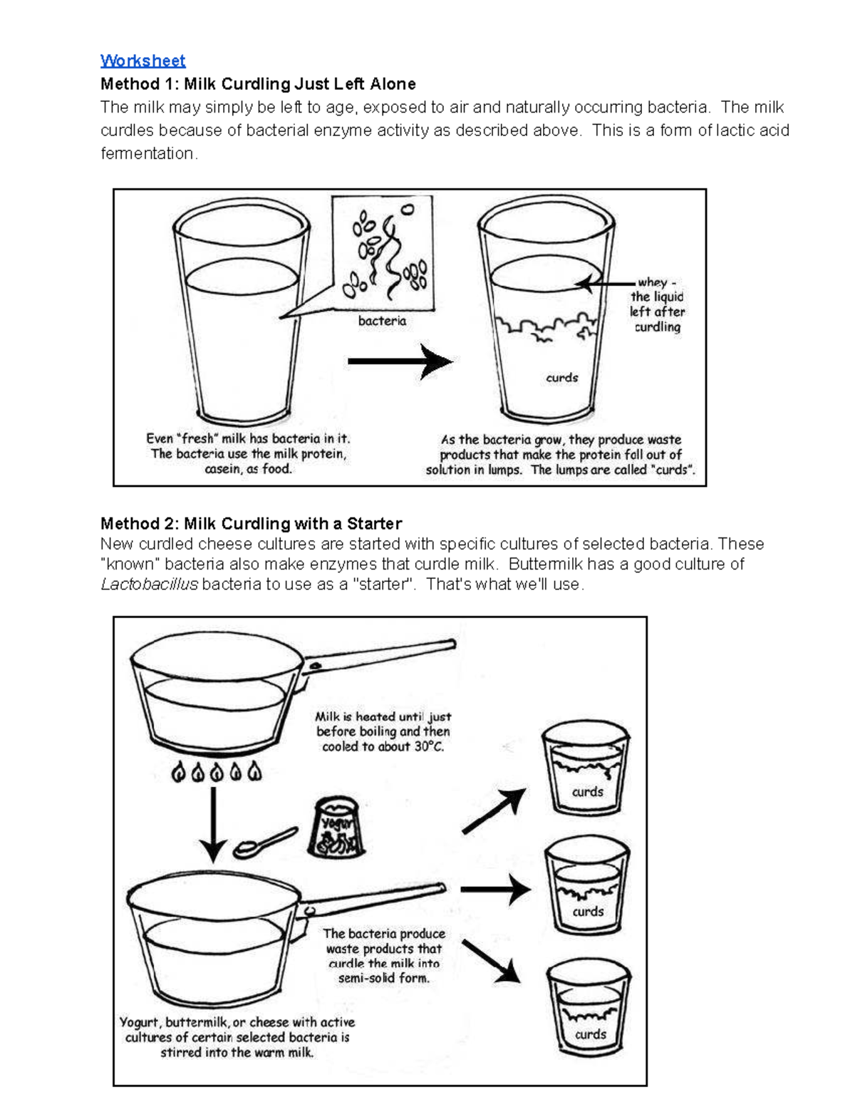 Methods of Milk Curdling: Bacterial Fermentation Techniques (BIO 101 ...