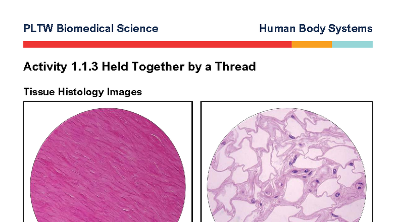 HBS DL 113 Tissue Histology Images - PLTW Biomedical Science Human Body ...