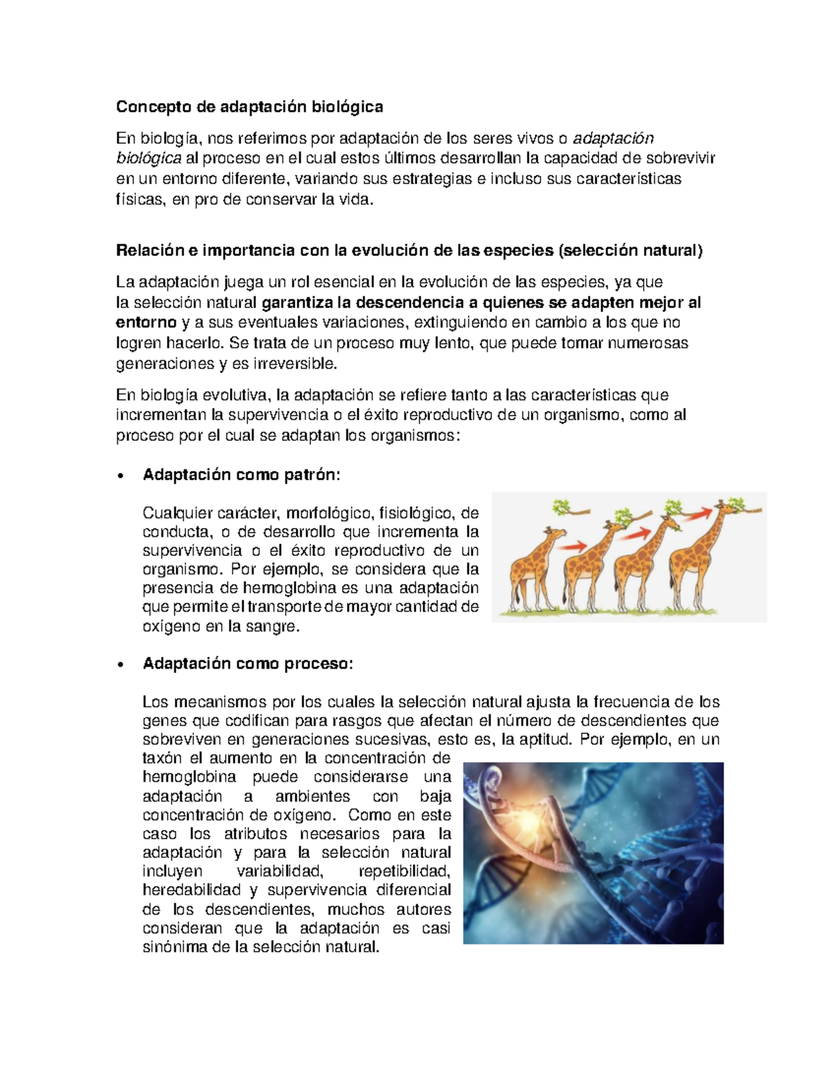 Que Es Adaptacion Y Evolucion En Biologias - Infoupdate.org