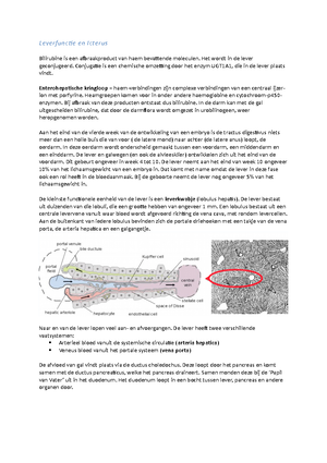 Histologie Lever en galwegen - Leverlobjes worden van elkaar gescheiden ...