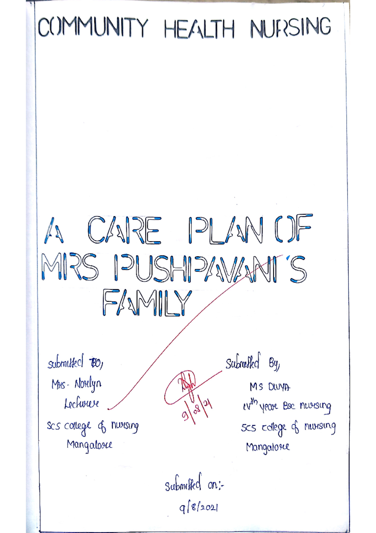 Community Care Plan Template and Guidelines for Implementation - Studocu