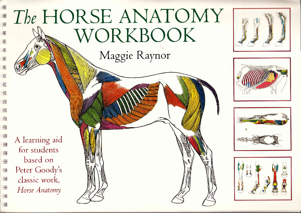 Horse Anatomy Workbook (2005) - Study Guide for Students - Studocu