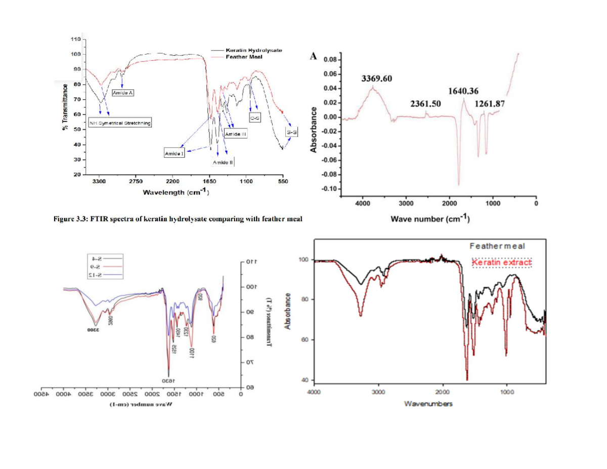 FTIR Spectra Analysis of Keratin Hydrolysate & Feather Meal (110) - Studocu