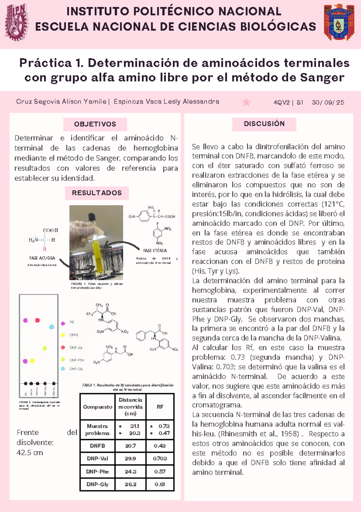 Práctica 1: Determinación de Aminoácidos Terminales por Método de ...