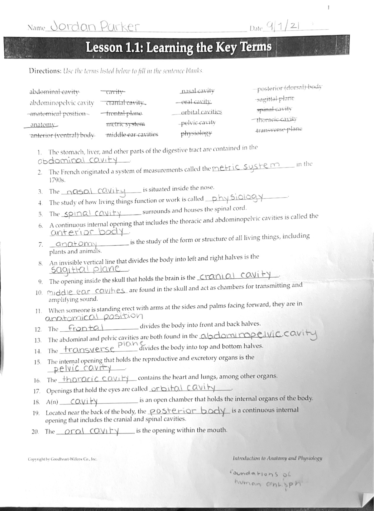 Lesson 1.1: Key Terms for Identifying Body Cavities in Anatomy - Studocu