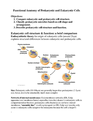 Virtual LAB Applying the Scientific Method - Pillbug Preference - 8/15 ...