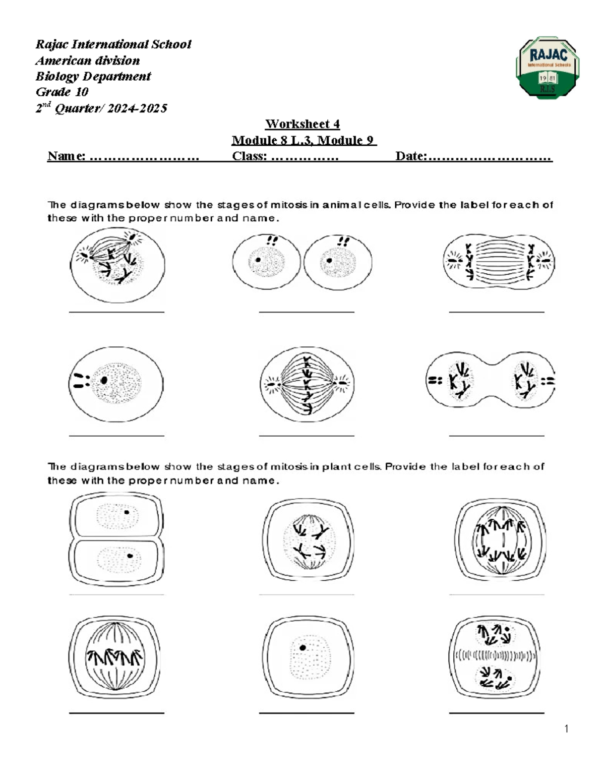 G.10 Worksheet Cell Division - MacGrawHill - Rajac International School ...