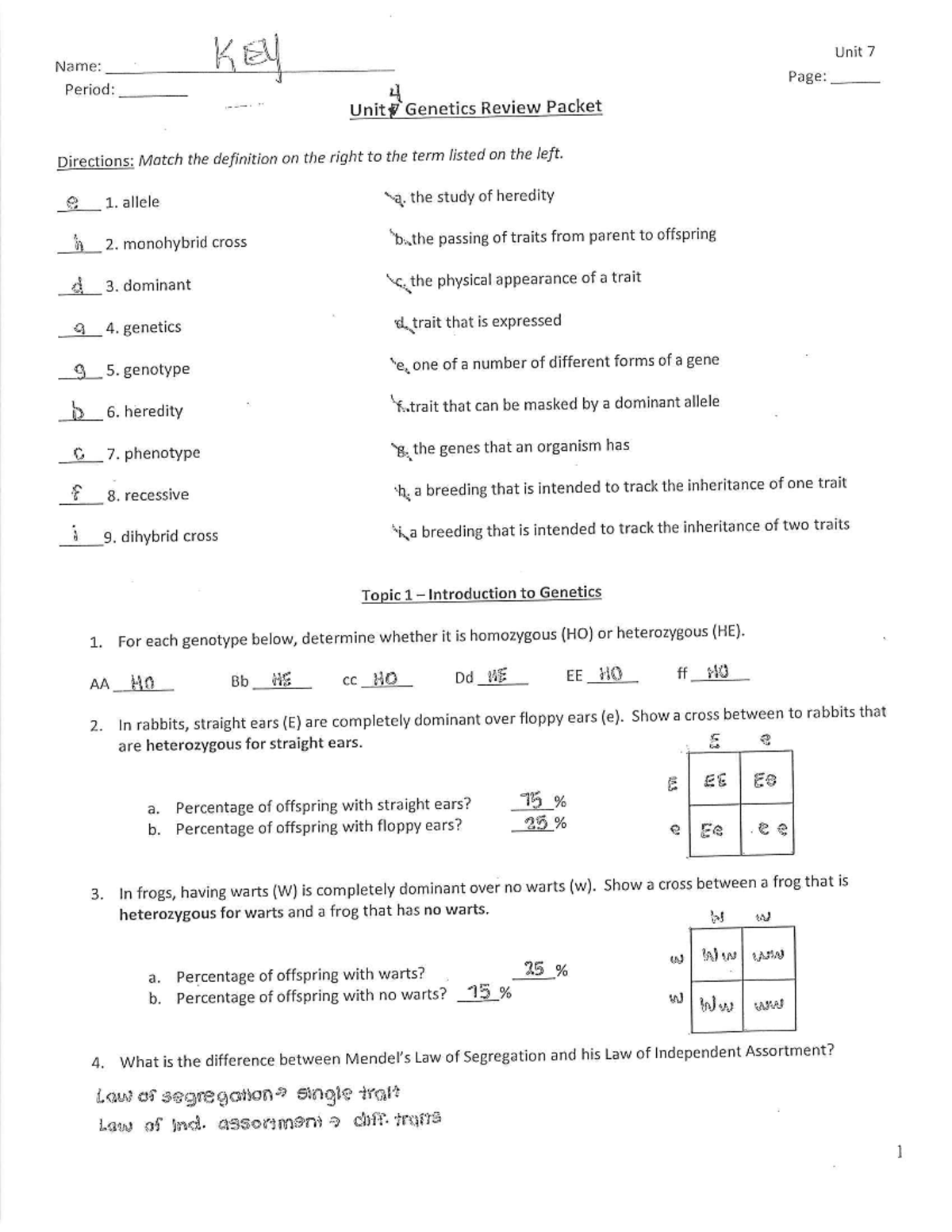 Unit 4 Genetics Review Packet Key: Definitions, Crosses, and Pedigrees ...