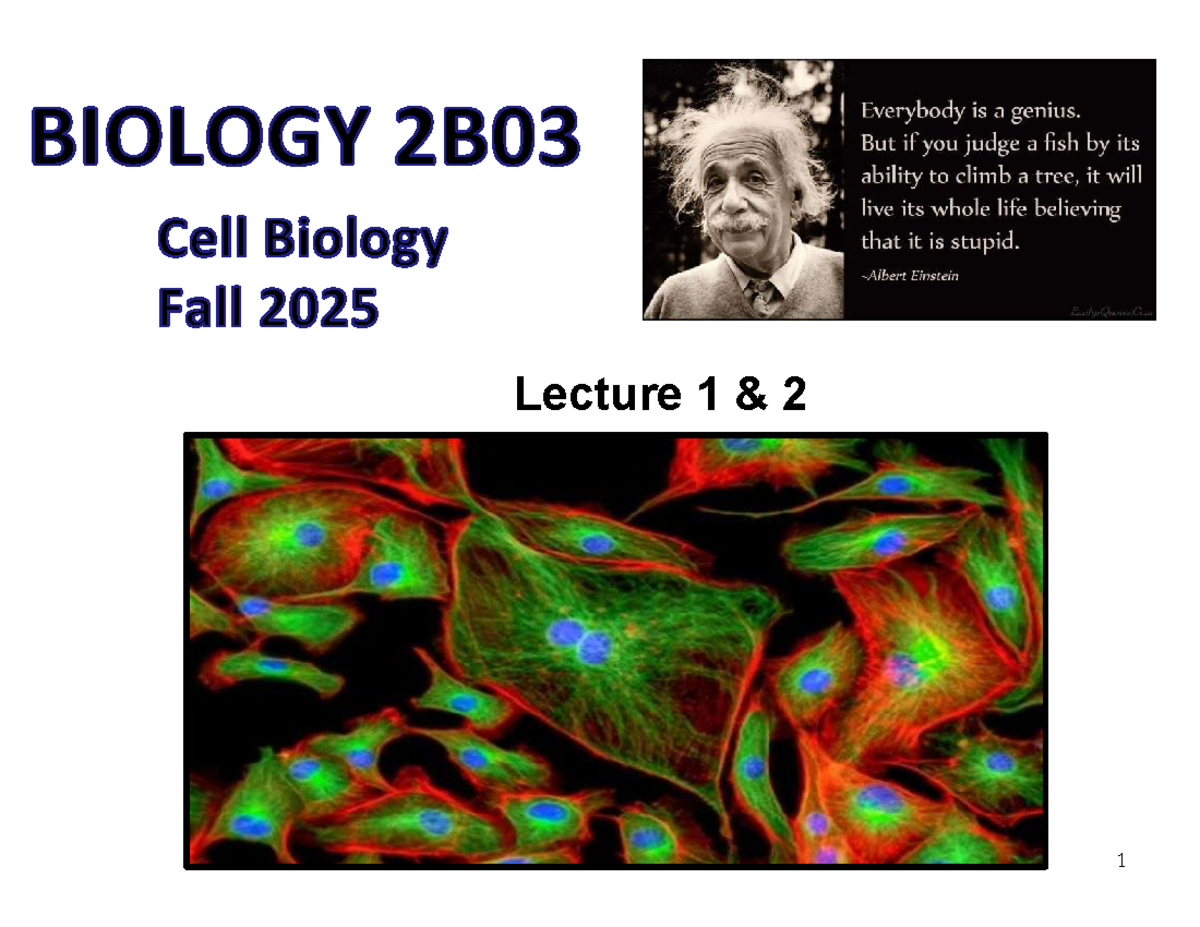 Lecture 1 & 2: Introduction to Protein Synthesis and Folding - Studocu