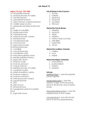 Anaphy LEC - ANATOMY study of the structure and shape of the body and ...