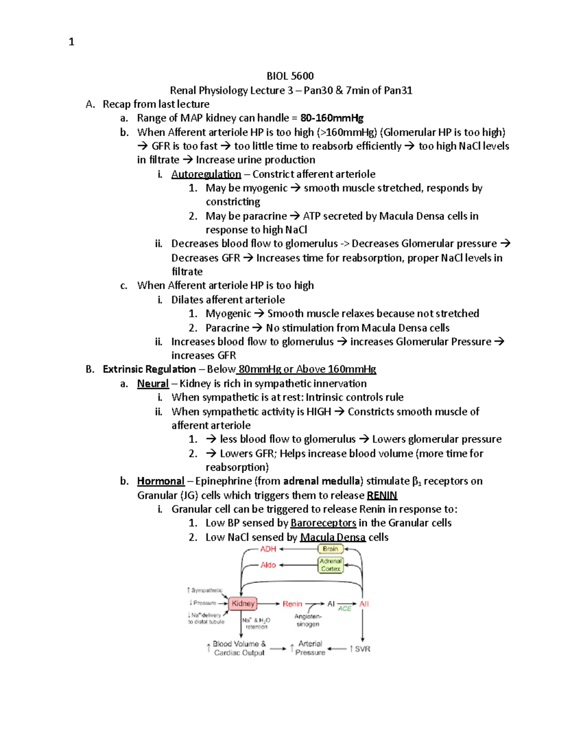 L3 Renal Phys (30-31) - 1 BIOL 5600 Renal Physiology Lecture 3 – Pan30 & 7min of Pan A. Recap ...