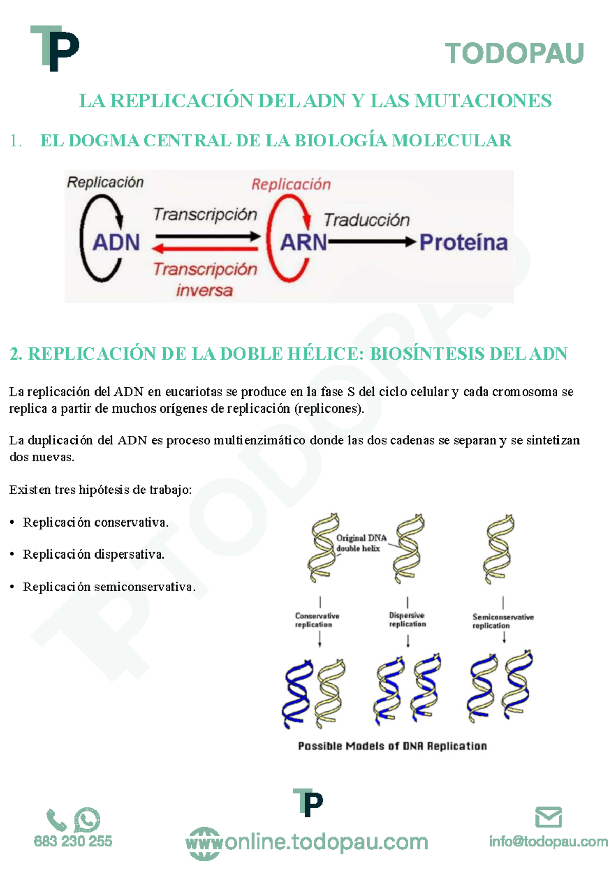 Material Alumno: Replicación del ADN y Mutaciones - Biología Molecular ...