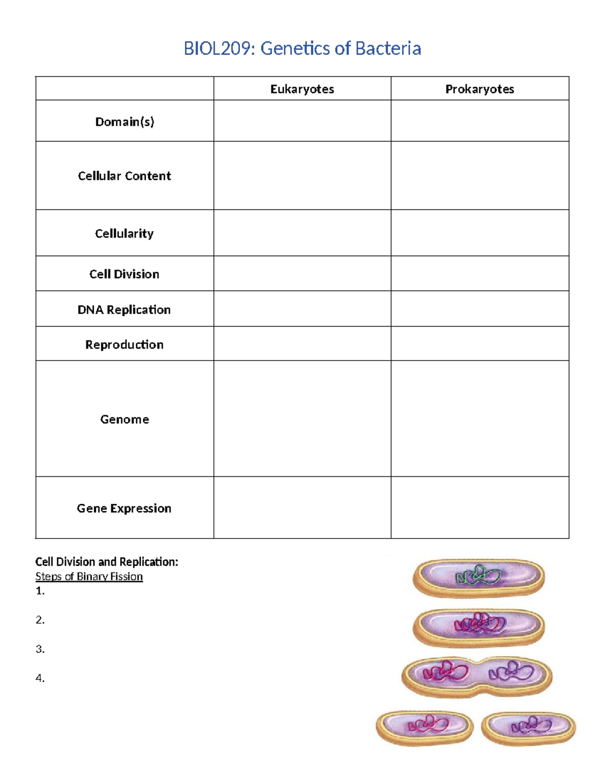 BIOL209: Overview of Bacterial Genetics & Gene Transfer Mechanisms ...