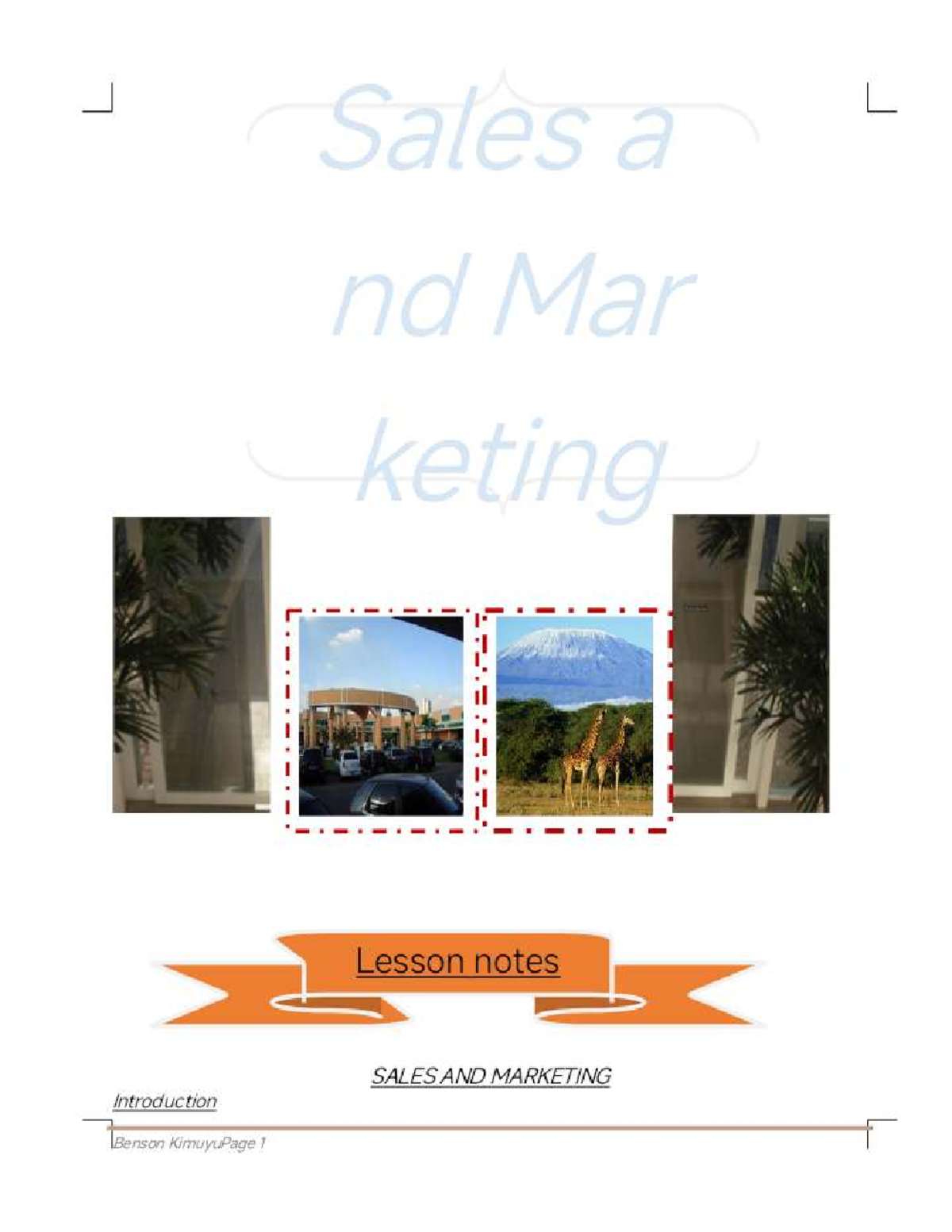 Sales and Marketing Lesson Notes (SALES AND MARKETING) - Studocu