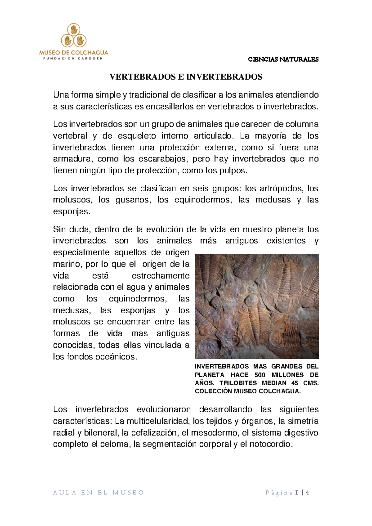 5 Invertebrados y Vertebrados Ciencias - VERTEBRADOS E INVERTEBRADOS ...