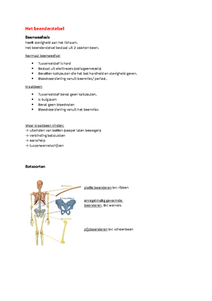 Anatomie van het oor - ANATOMIE VAN HET OOR ALGEMEEN Gehoororgaan : os ...