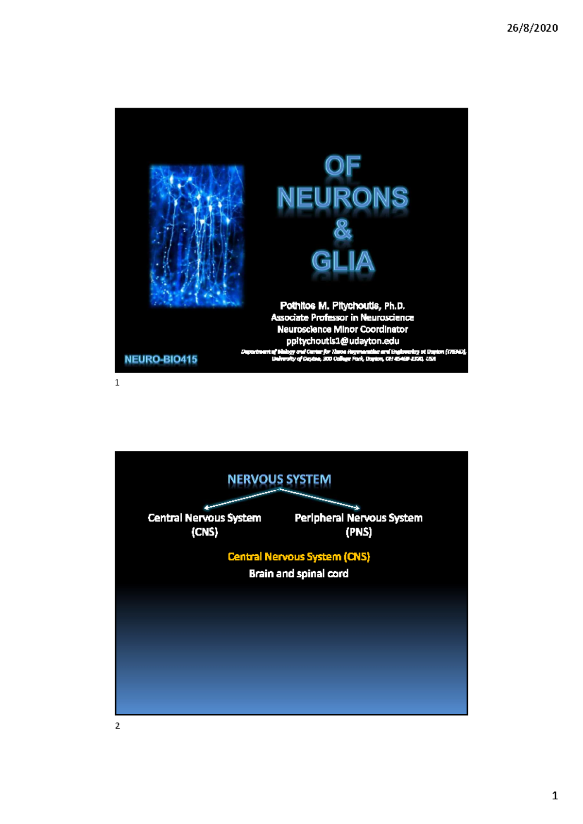 Neuroscience 101: Neurons, Glia, and CNS Protection Mechanisms ...