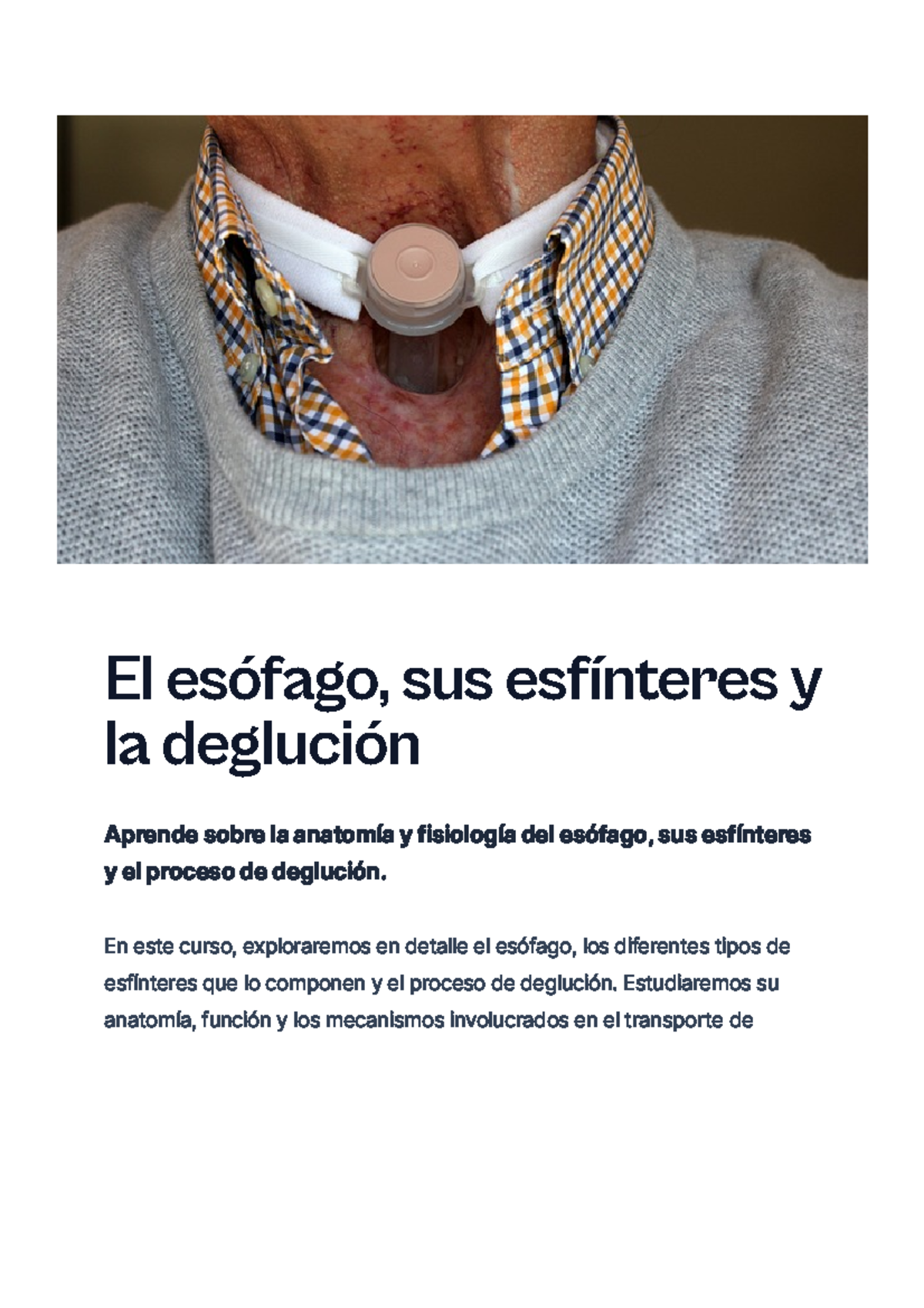 Anatomía y Fisiología del Esófago: Esfínteres y Deglución - Studocu
