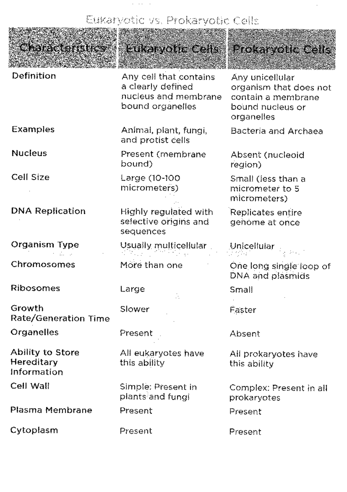 Eukaryotic vs Prokaryotic Cells: Key Characteristics Comparison - Studocu