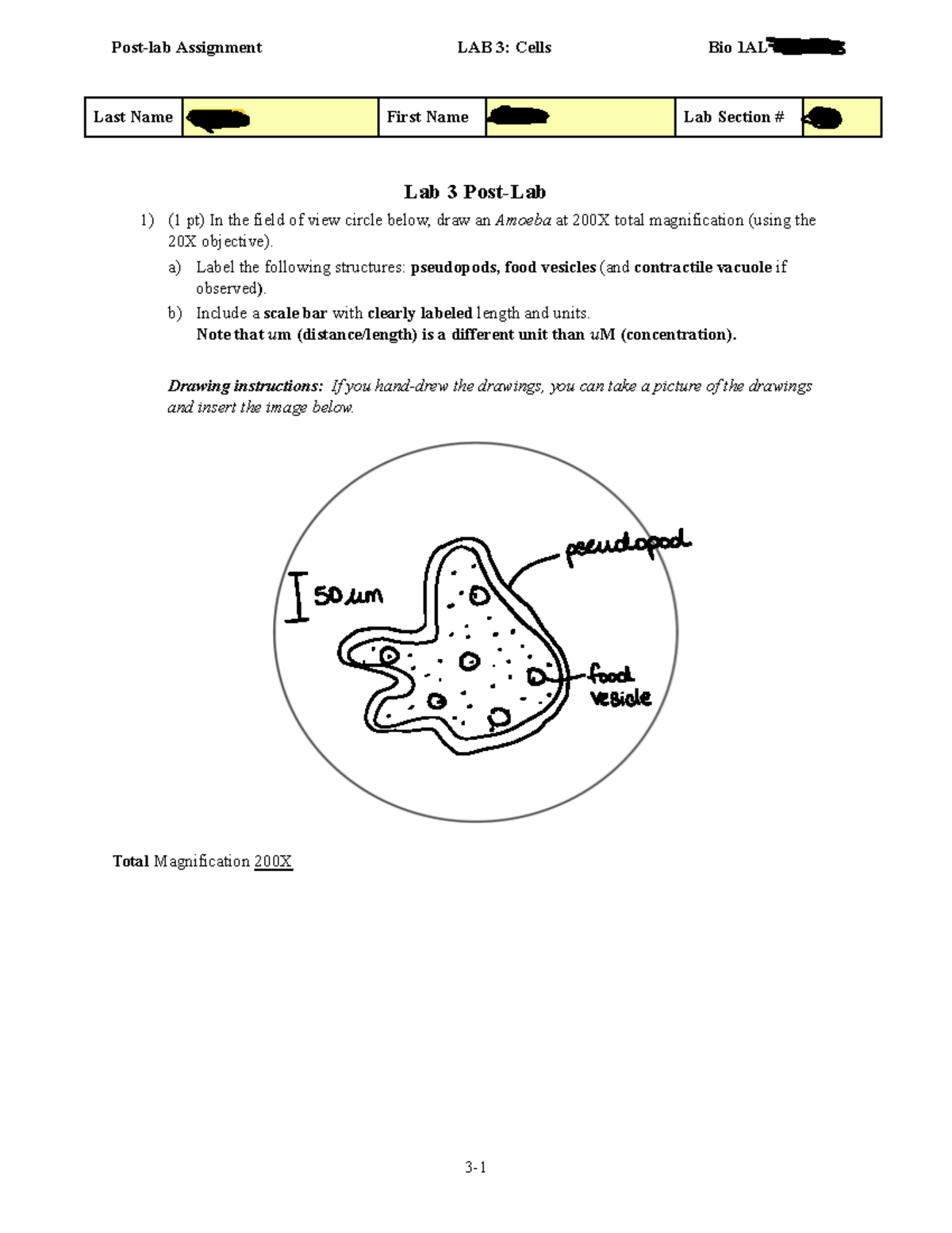 Lab 3: Cells - Bio 1AL Fall 2023 - Studocu