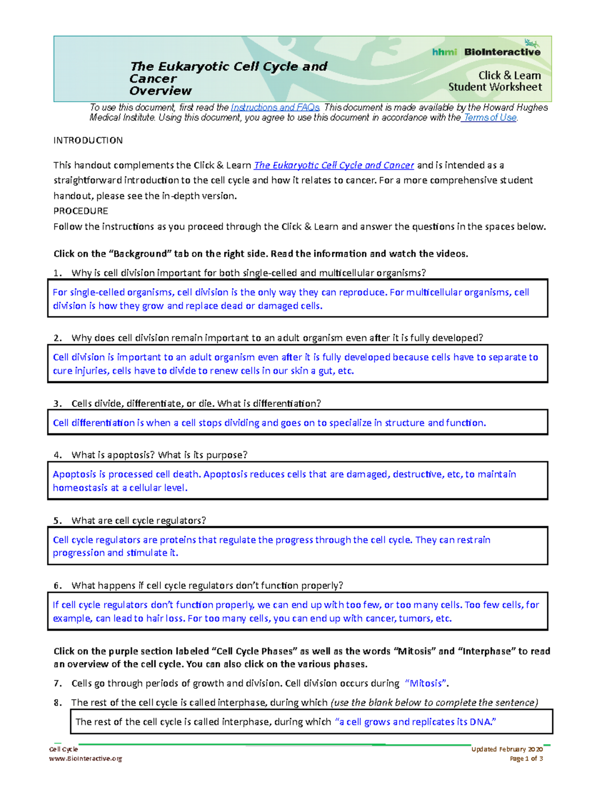 Copy of Overview Worksheet - The Eukaryotic Cell Cycle and Cancer ...