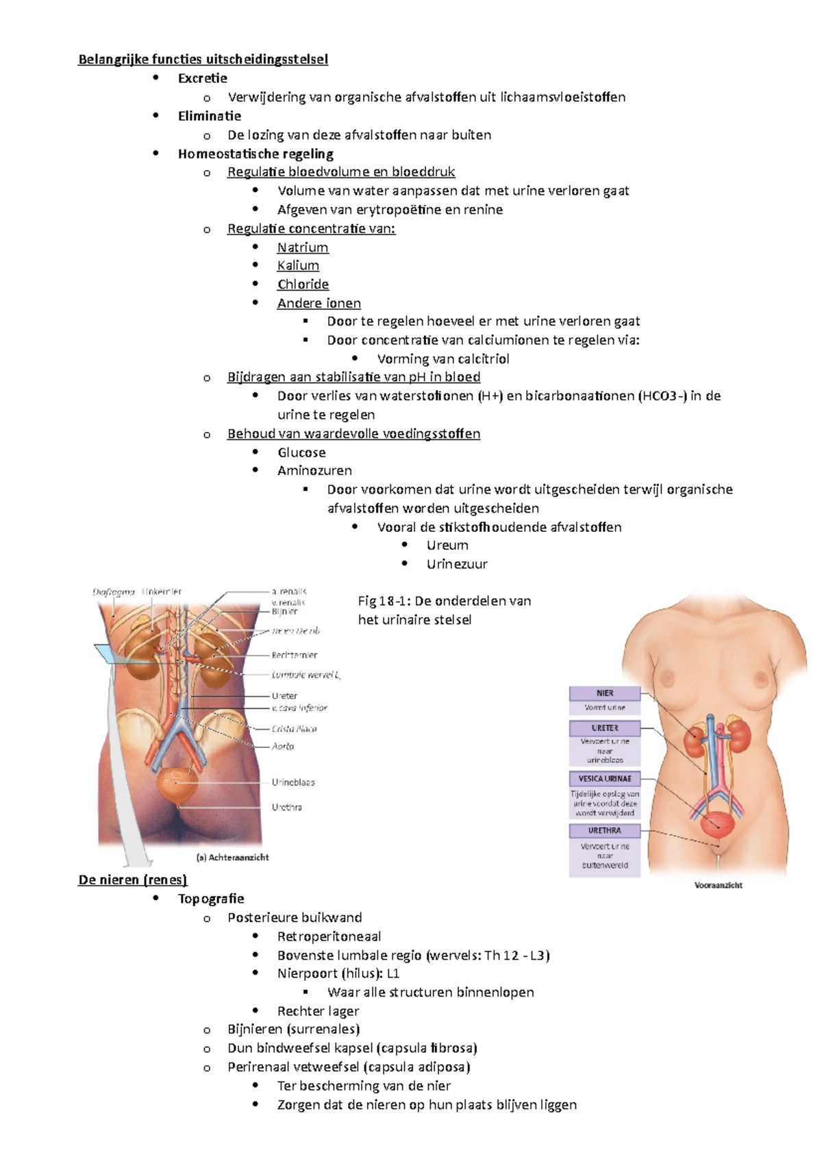 Ademhalingsstelsel schematje - Ademhalingsstelsel Ademhaling is meer ...