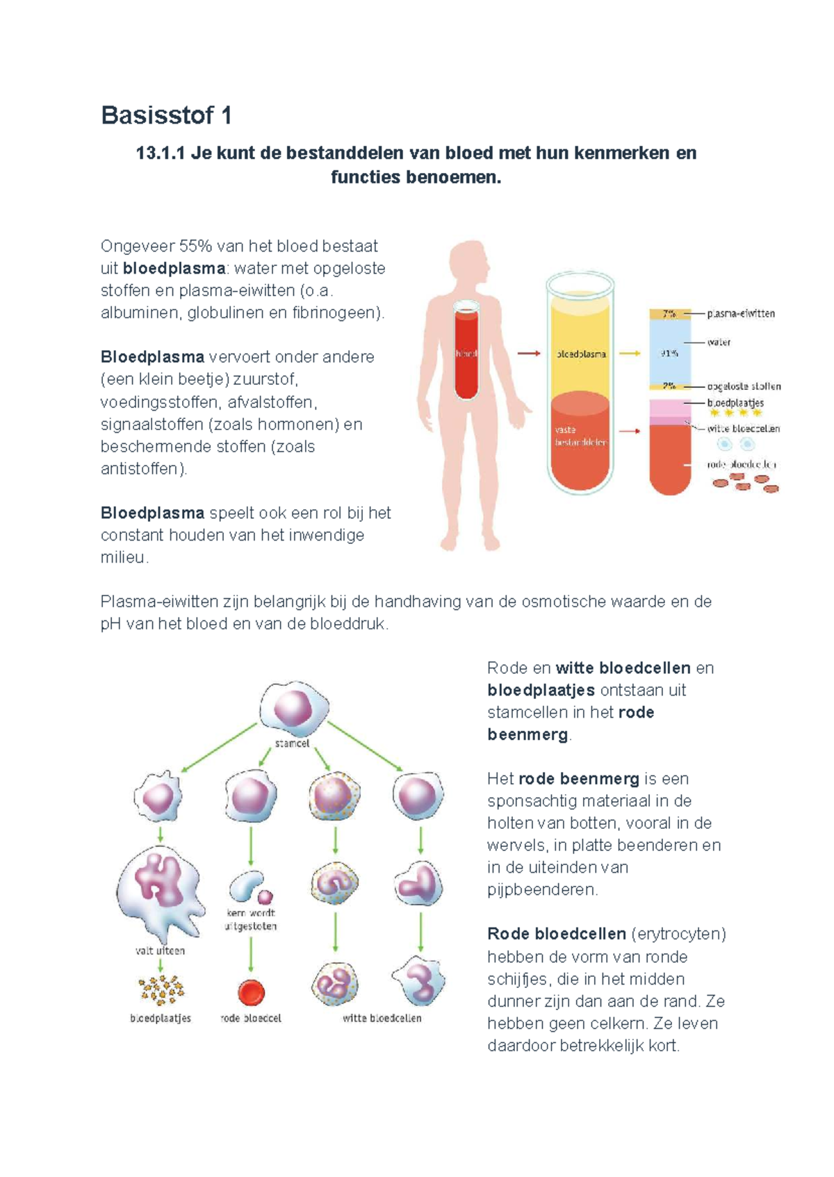 Biologie Periode 2: Bloedbestanddelen en Bloedstolling Functies ...