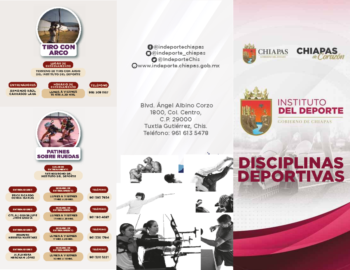 TIRO CON ARCO Y PATINES SOBRE RUEDAS - INSTITUTO DEL DEPORTE - Studocu