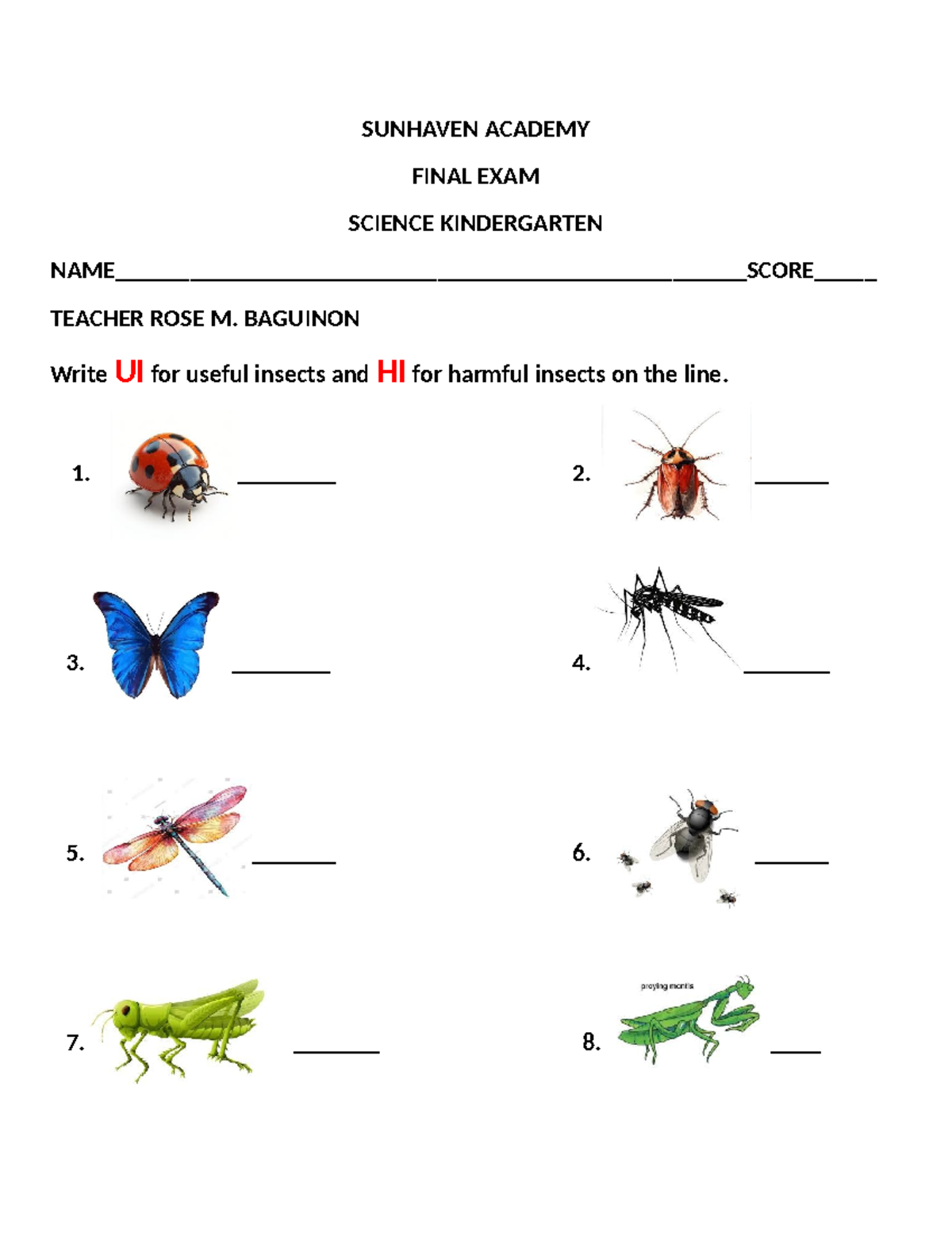 Final exam kindergarten science: Useful vs harmful insects - Studocu