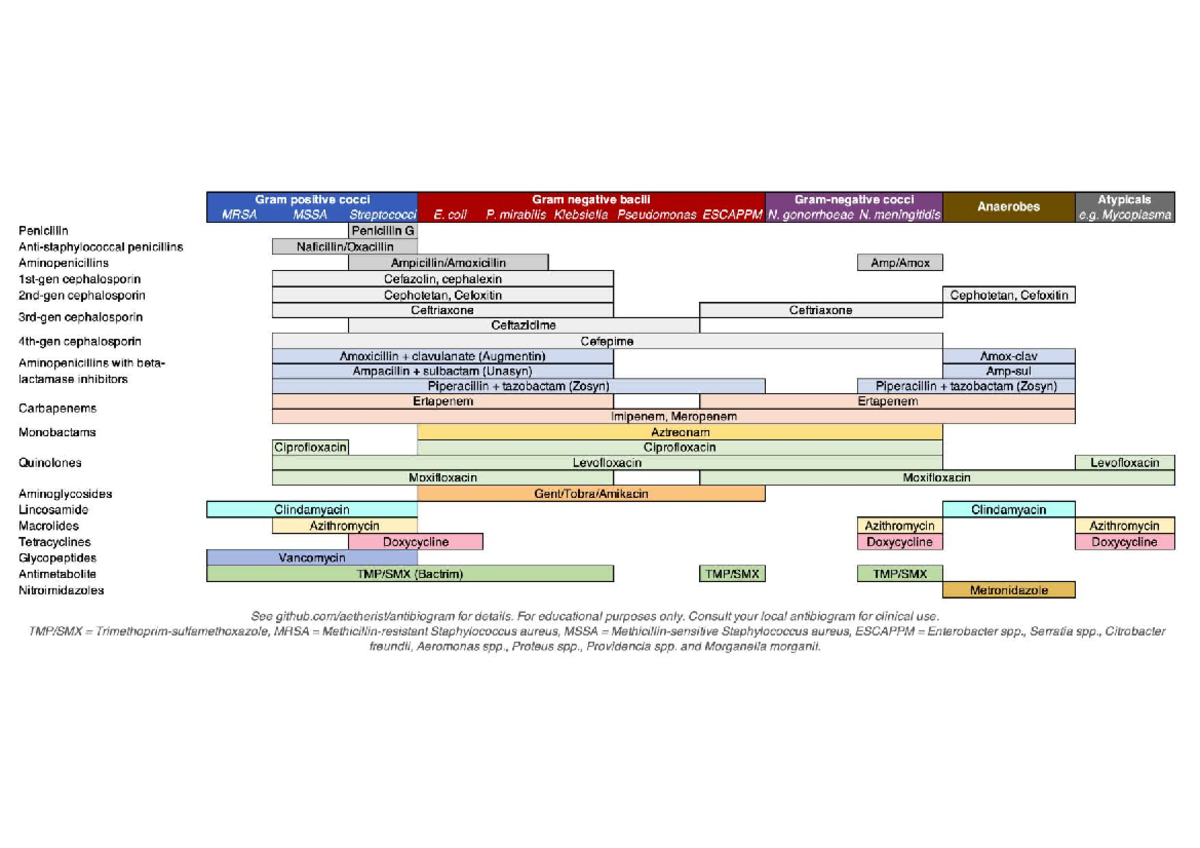 Antibiotics coverage diagram - Gram positive cocci Gram negative bacili Gram-negative cocci ...