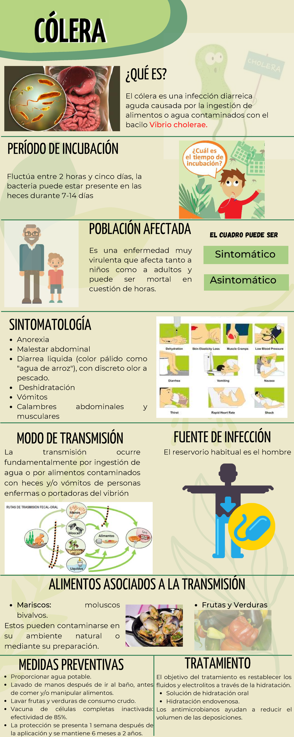 CÓLERA - Infografía sobre la infección y prevención - Studocu