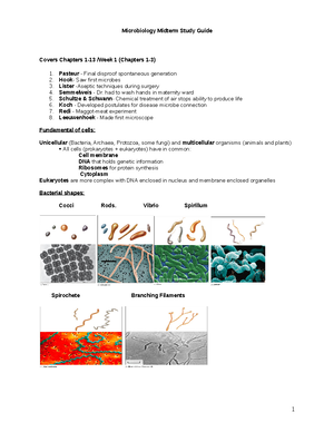 Lab Report – Cell Structure - BIO/290 v Lab Report – Cell Structure In ...