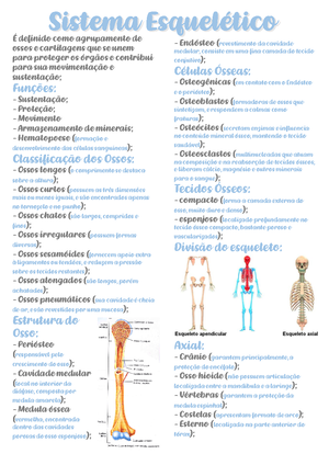 A Escala ASIA para lesão medular – o guia do fisioterapeuta - A Escala ...