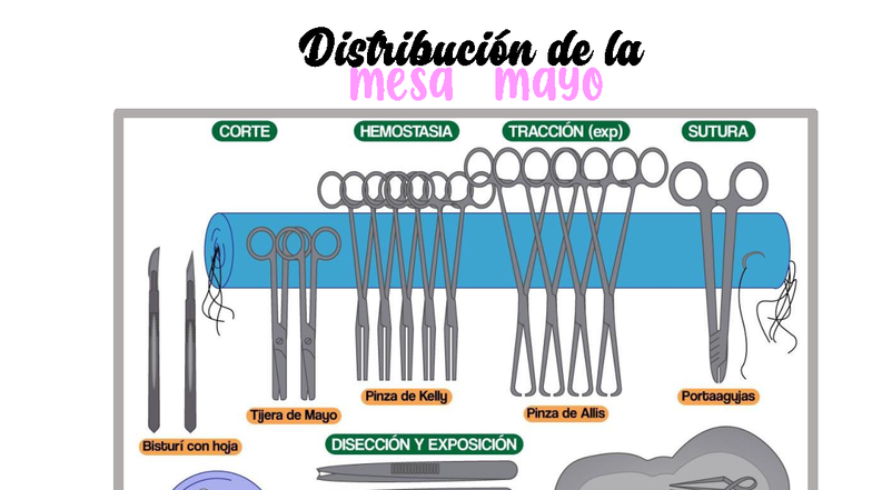 Distribución De La Mesa Mayo Instrumental Y Tiempos Quirúrgicos Studocu
