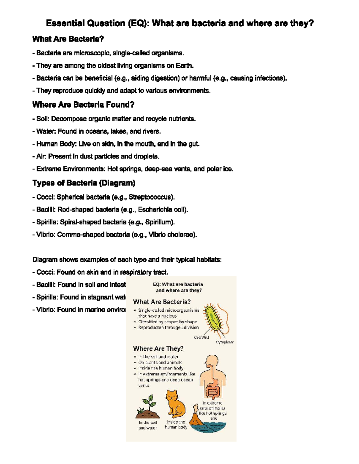 Bacteria: Types, Locations, and Characteristics - Notes - Studocu