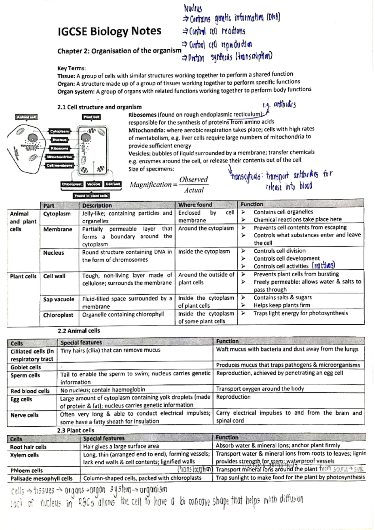 Chapter 2 Organisation of the Organism - Studocu
