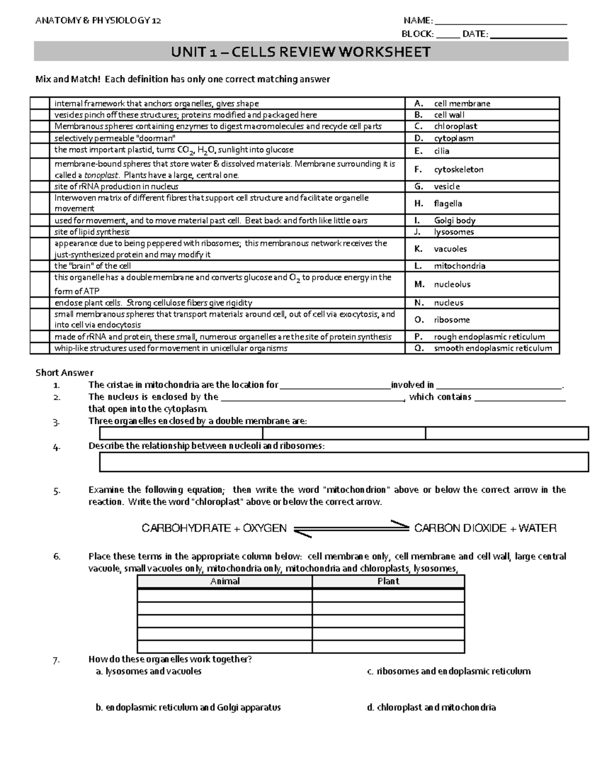 Unit 1 Cells Review Worksheet - Anatomy & Physiology 12 - Studocu