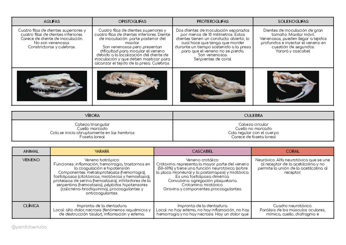 AGLIFAS OPISTOGLIFAS Y VENENOSAS: Guía de Identificación y Tratamiento ...